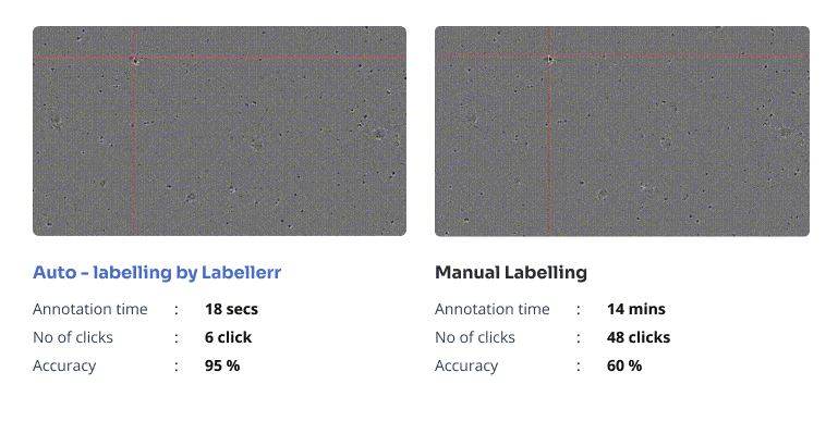 Save Cell Segmentation Cost with Labellerr Using SAM